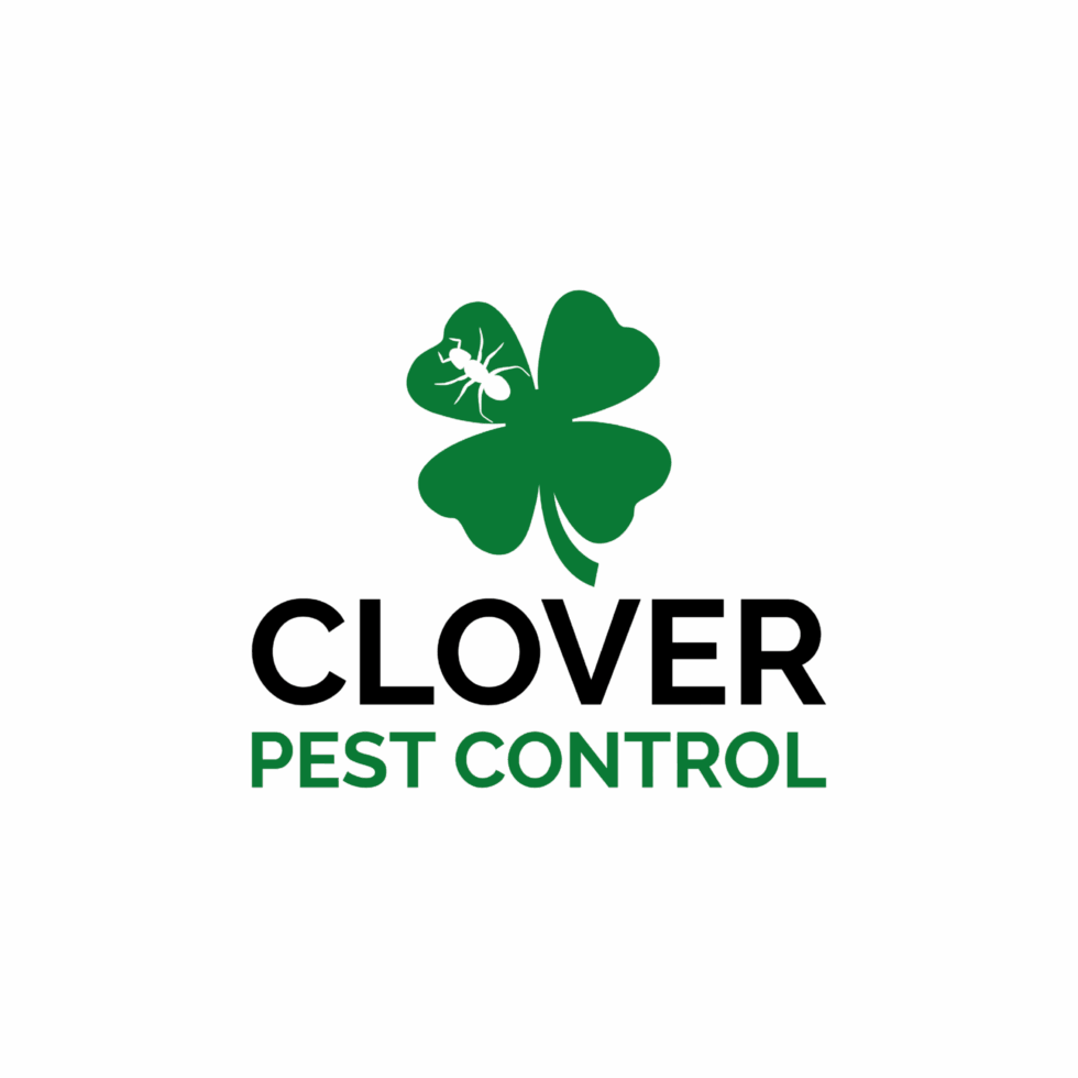 Services | Clover Pest Control
